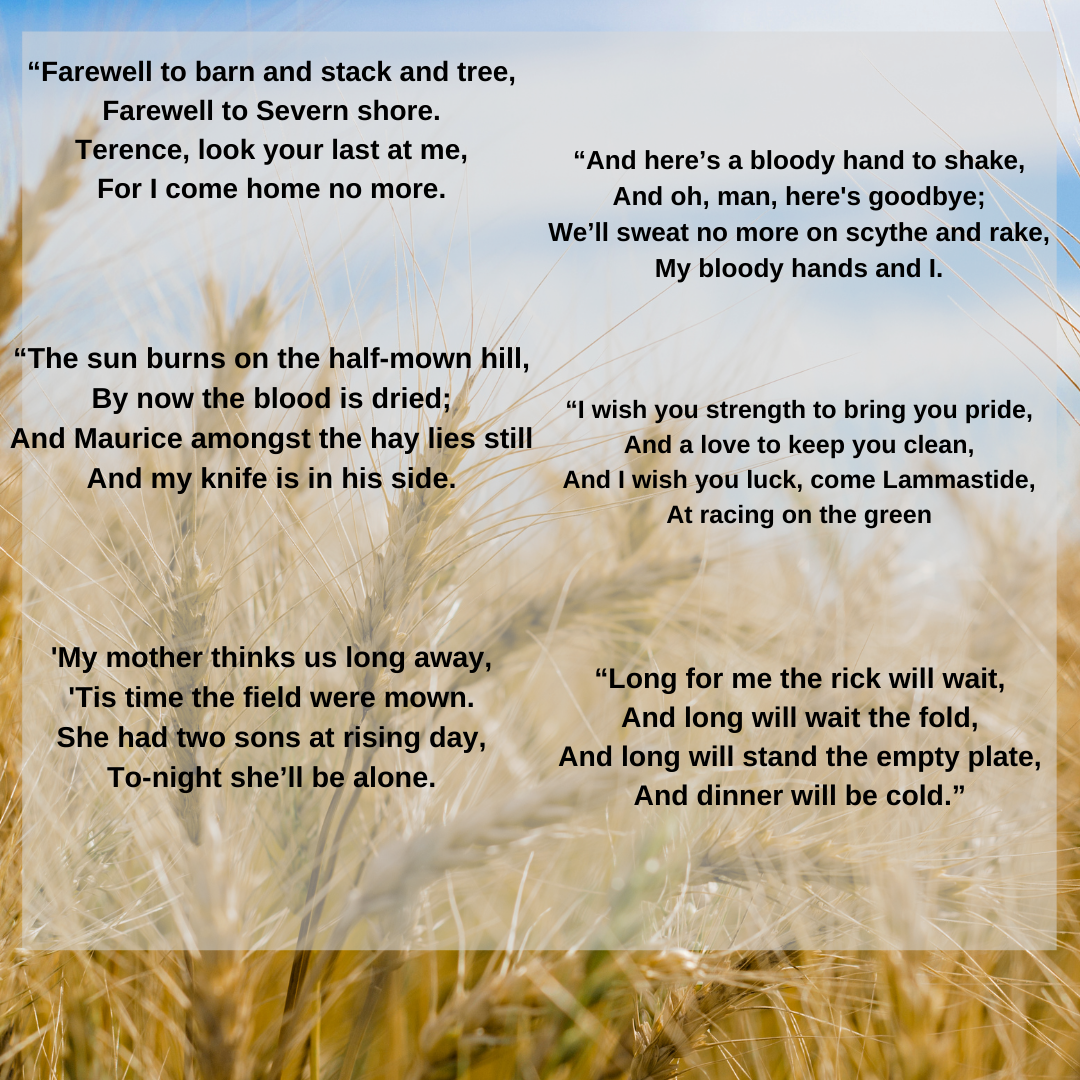 Farewell to Barn and Stack and Tree (Analysis) – THE WORDS ACADEMY